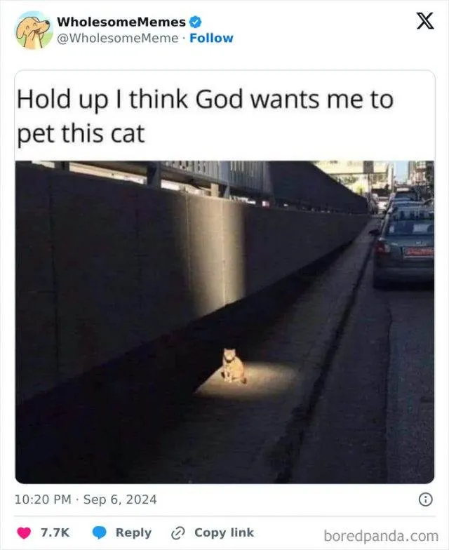 30 Uplifting Memes To Restore Your Faith In The World