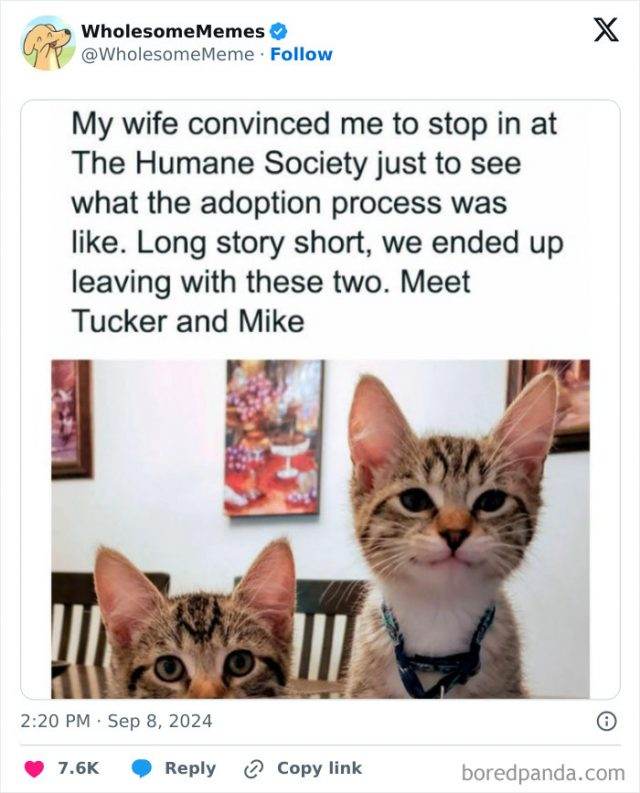 30 Uplifting Memes To Restore Your Faith In The World