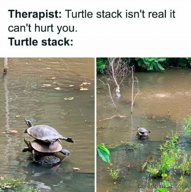 30 Hilarious Turtle Memes You Never Knew You Needed