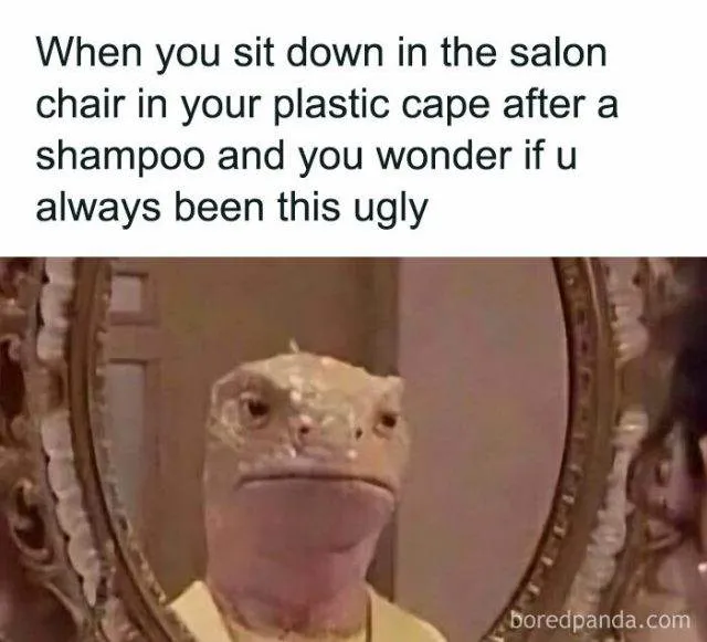 30 Funny And Random Memes To Make Your Day Better