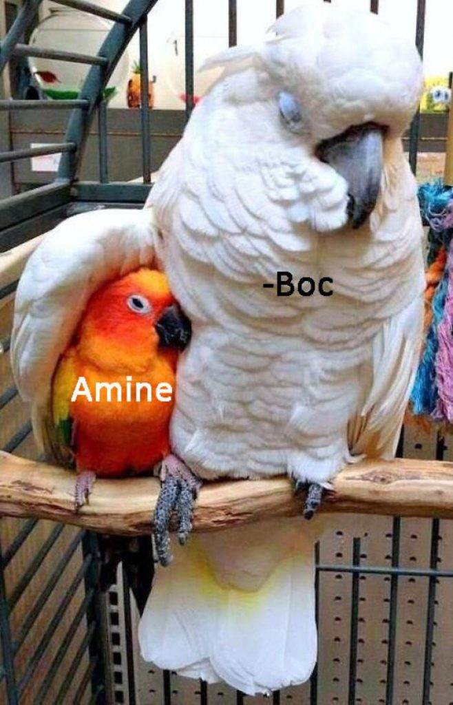 30 Chemistry Memes Guaranteed To Spark Laughter
