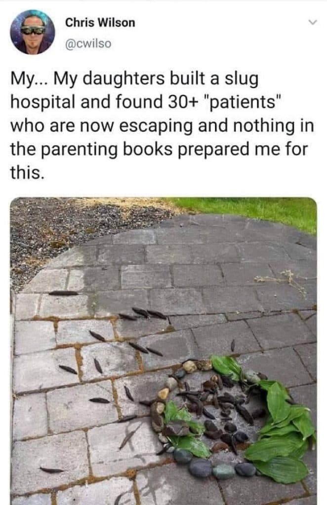 30 Hilarious Memes That Will Have You In Stitches