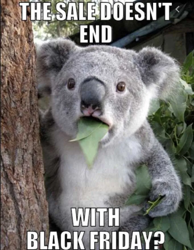 18 Cyber Monday Animal Memes Because They Want In On The Action