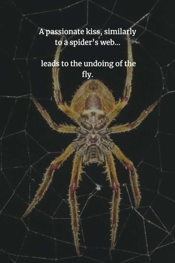 20 Funny Chinese Proverbs To Impart Wisdom And Humour