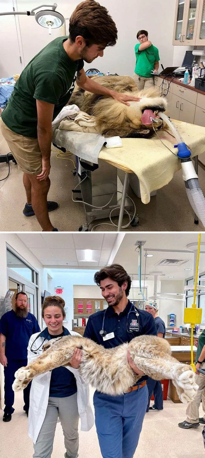 30 Heartwarming And Hilarious Moments