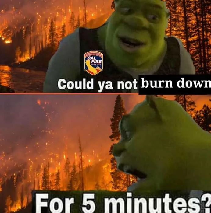 30 Funny Wildfire Memes That Will Burn A Hole In Your Retina