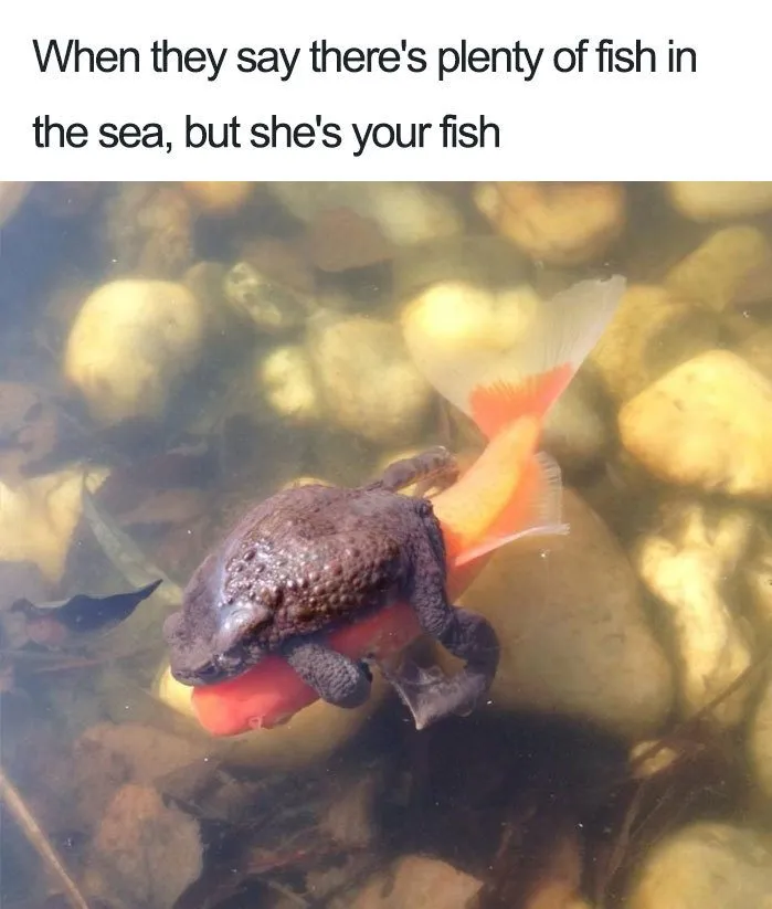 20 Hilarious Relationship Memes To Share With Your Partner