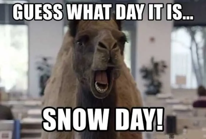 43 Snow Day Memes Because It's A Fricking Blizzard Out There