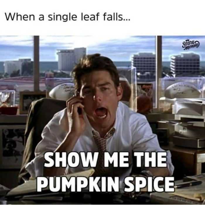 20 Pumpkin Spice Latte Memes That You'll Love More Than PSL
