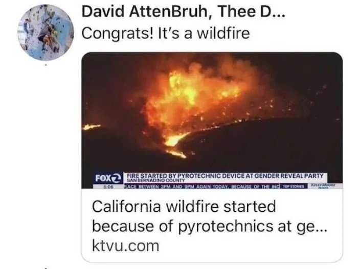 30 Funny Wildfire Memes That Will Burn A Hole In Your Retina