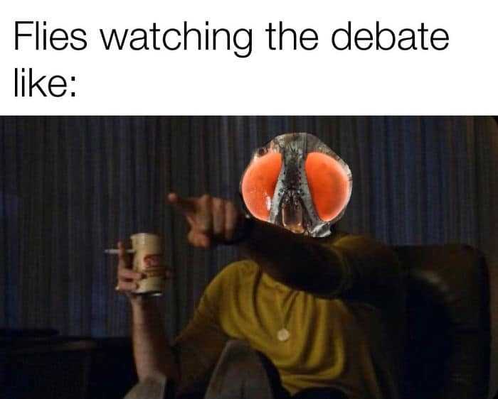 30 Hilarious VP Debate Fly Memes Because Pence Was Outshined By A Fly