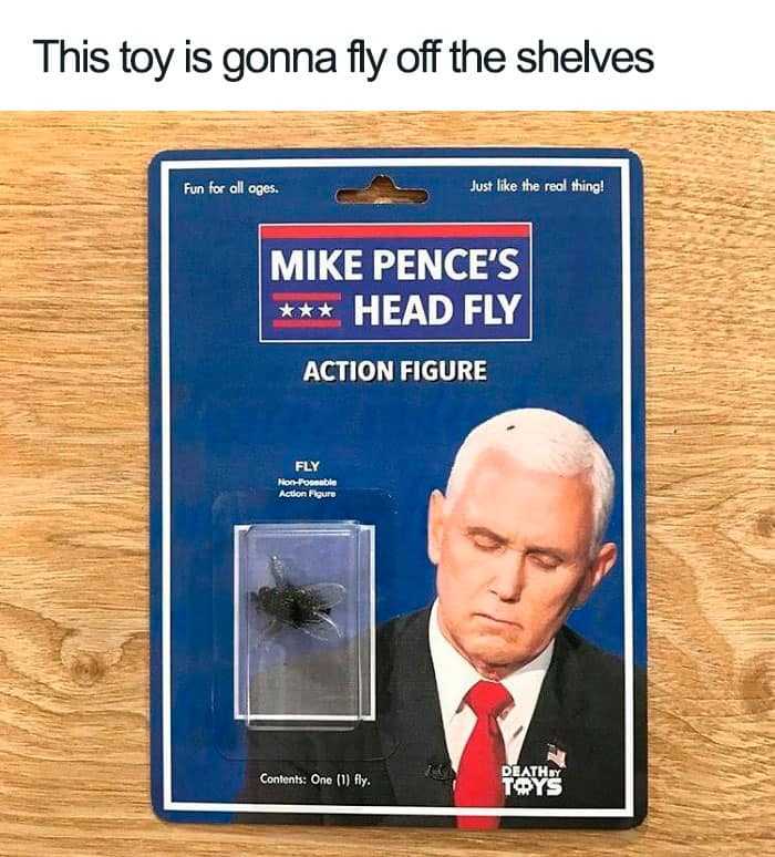 30 Hilarious VP Debate Fly Memes Because Pence Was Outshined By A Fly