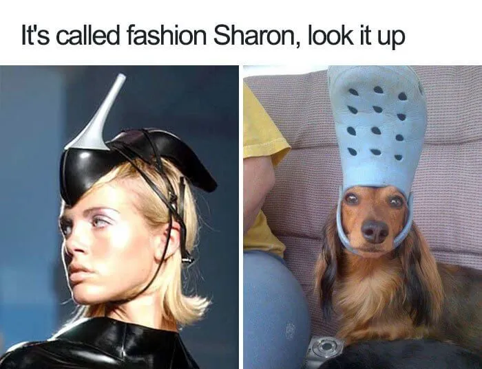 20 Hilarious Fashion Memes