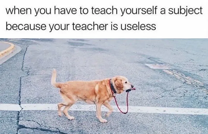 30 Relatable College Memes For Students