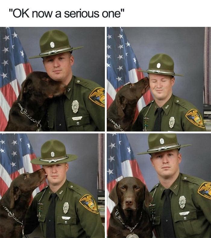30 Extremely Cute Dog Memes To Start Your Day With