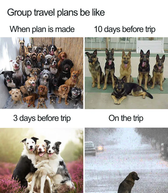 30 Terrific Holiday Memes That Are So Relatable