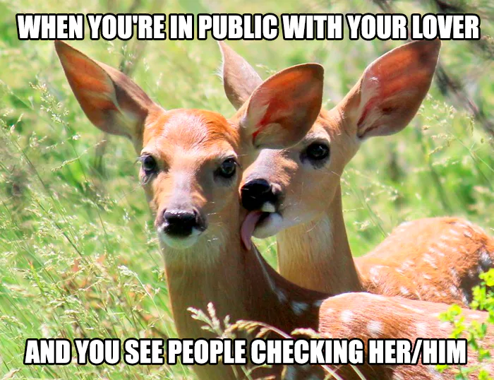 30 Accurate Relationship Memes For All The Lovely Couples