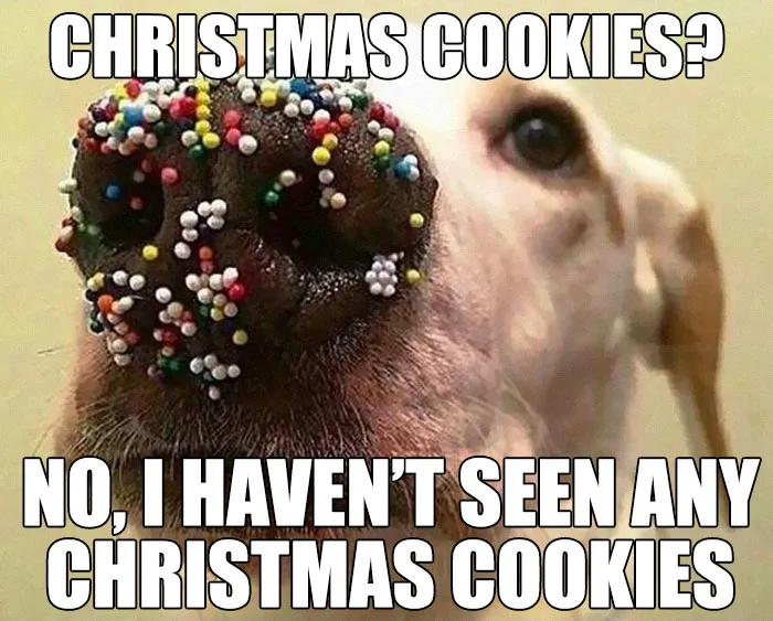 30 Festive Christmas Memes To End Off Your Year