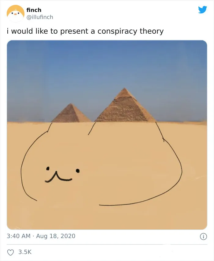 30 Awesome Cat Memes To Look At