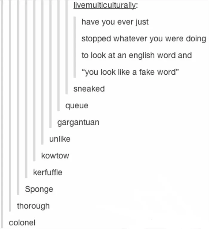 30 Hilarious Times The English Language Got The Best Of People