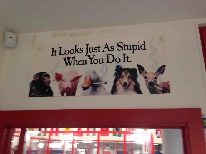 30 Playful Classroom Memes To Get You Ready For Back To School