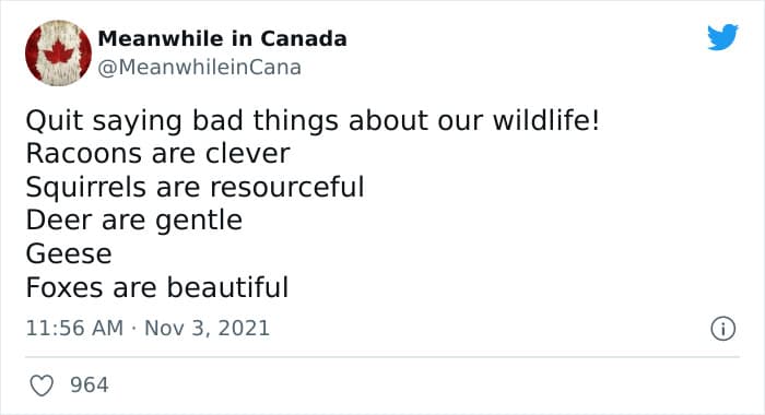 30 Dazzling Canadian Memes That Are So Funny And Accurate