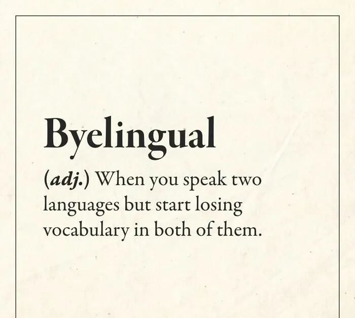 30 Super Funny Yet Accurate New Definitions Of Everyday Words