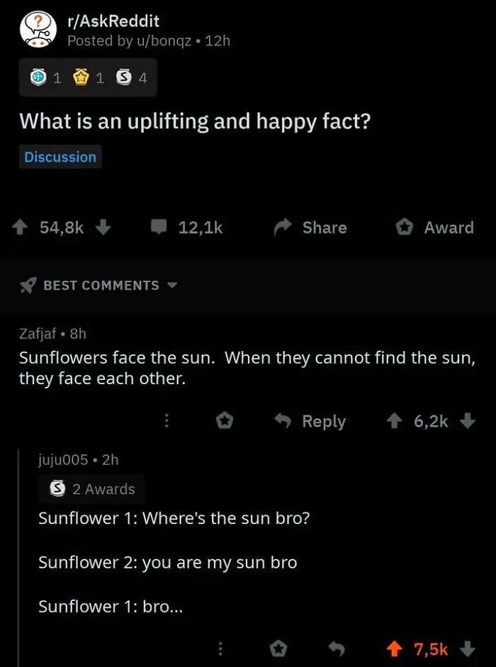 30 Of The Funny And Thoughtful Comments On The Internet