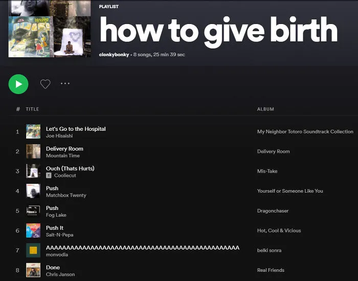 30 Perfectly Put Together Playlists That A Just Too Funny To No Laugh At