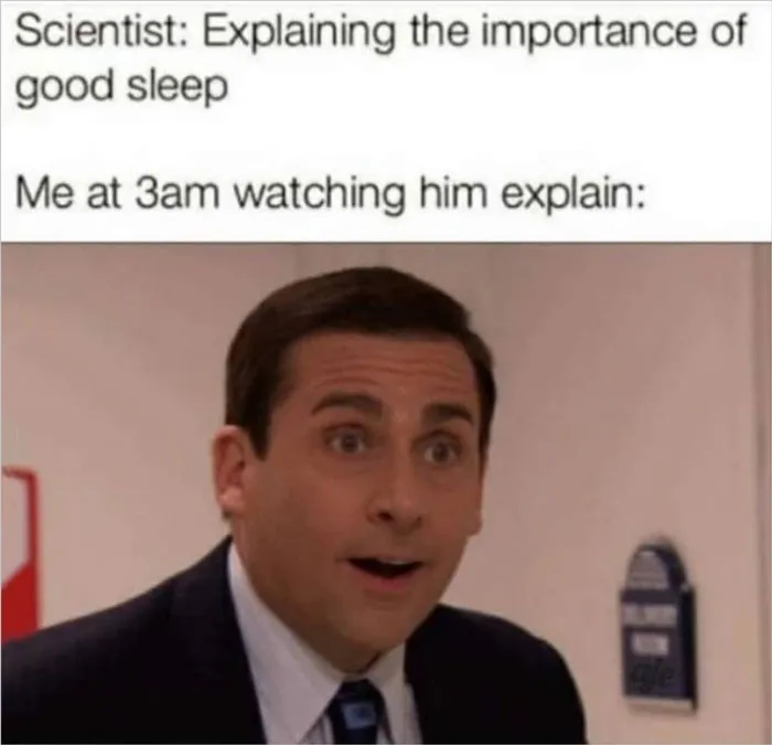 30 Hysterical "The Office" Memes That Will Definitely Crack You Up