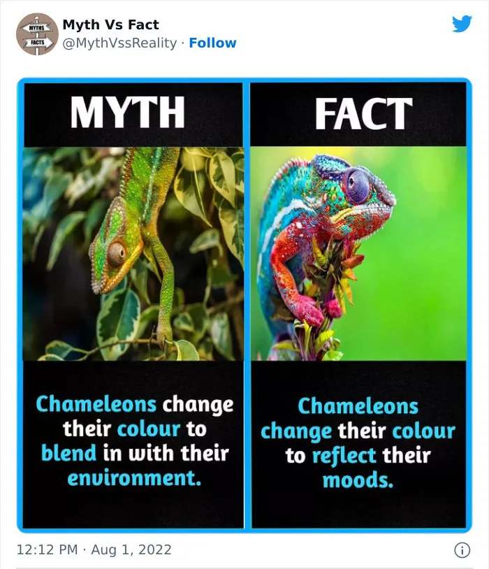 30 Incredibly Interesting Fact Vs Myths