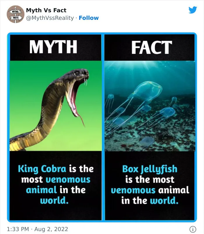 30 Incredibly Interesting Fact Vs Myths