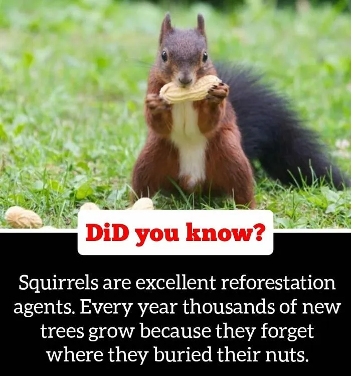 30 Epic Facts You Probably Didn't Know!