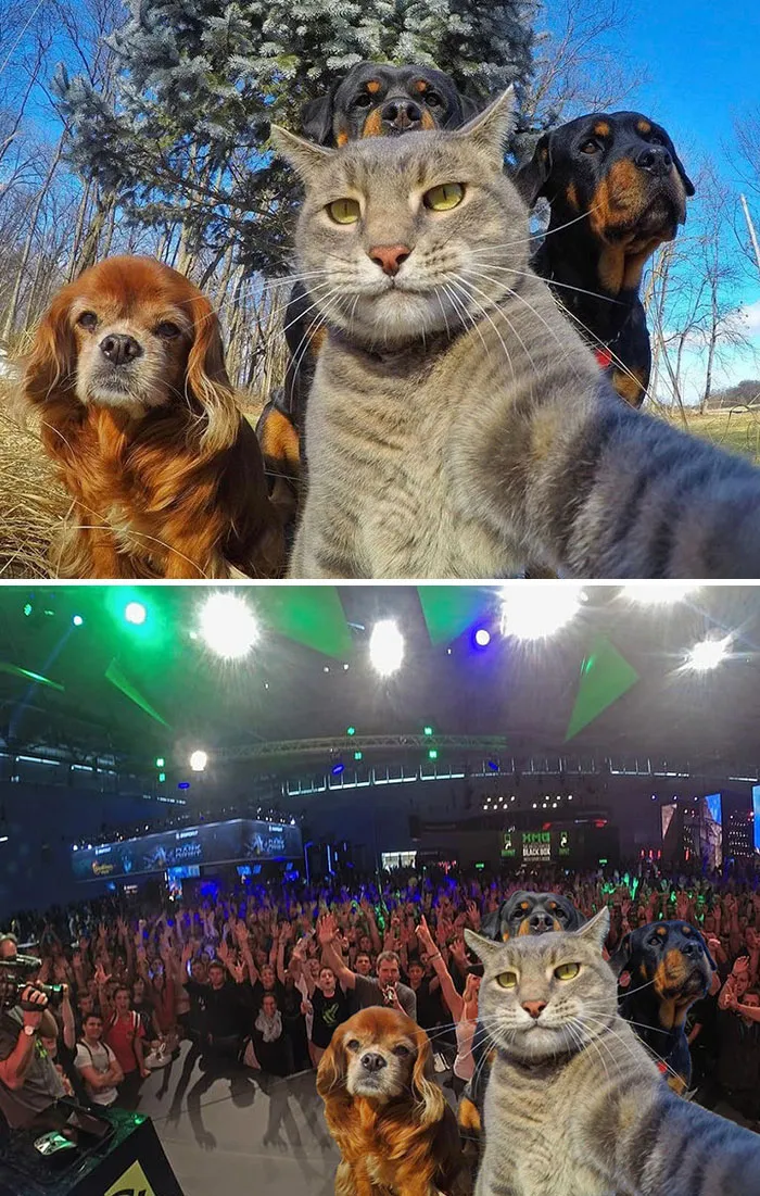 30 Perfectly Planned Photoshopped Images