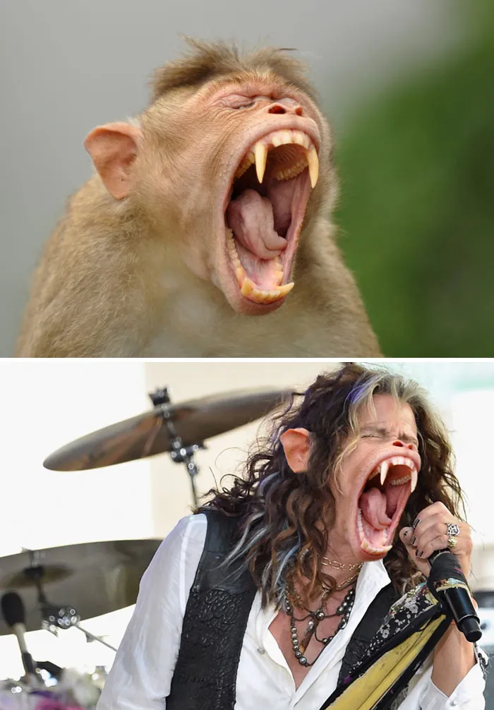 30 Perfectly Planned Photoshopped Images