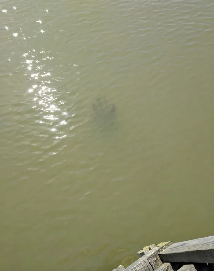 30 Horrifying Pics You Absolutely Must See And Share