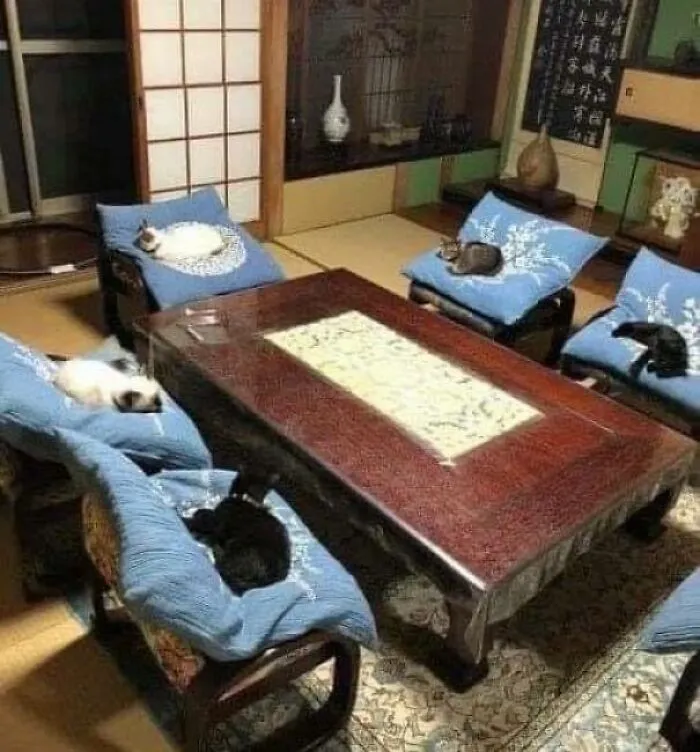 30 Amazing Photos That Show Why Japan Is Amazing