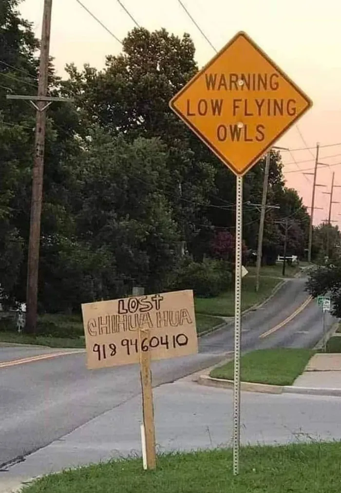 30 Of The Strangest Laugh-Inducing Signs Spotted In Public