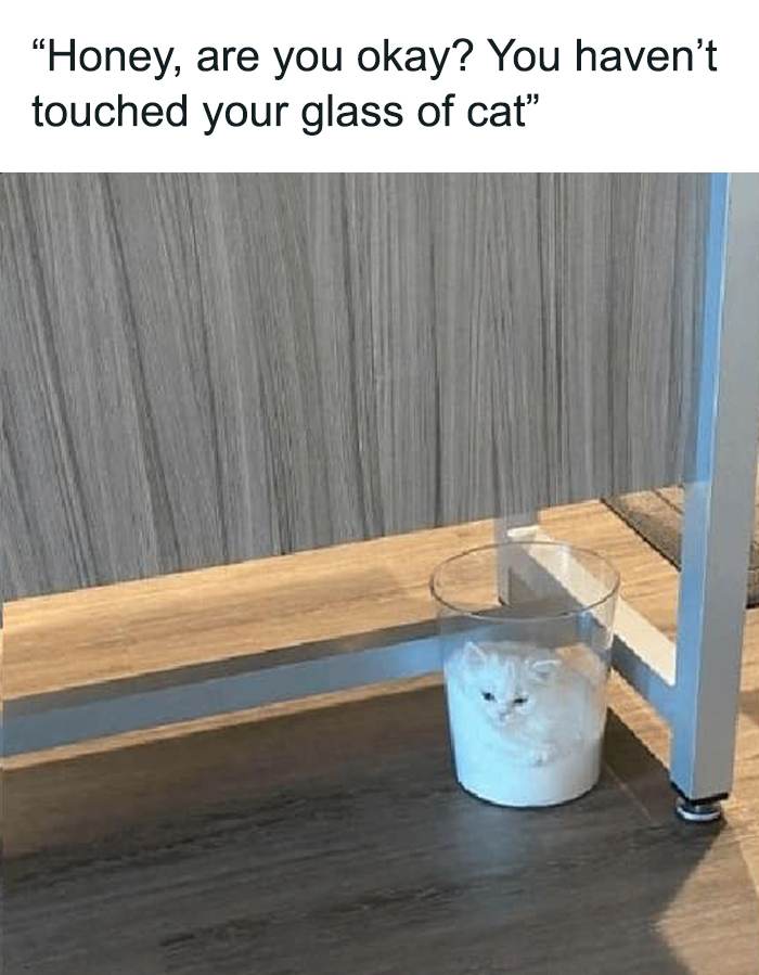 30 Funny Yet Uncomfortable Memes To Make You Laugh