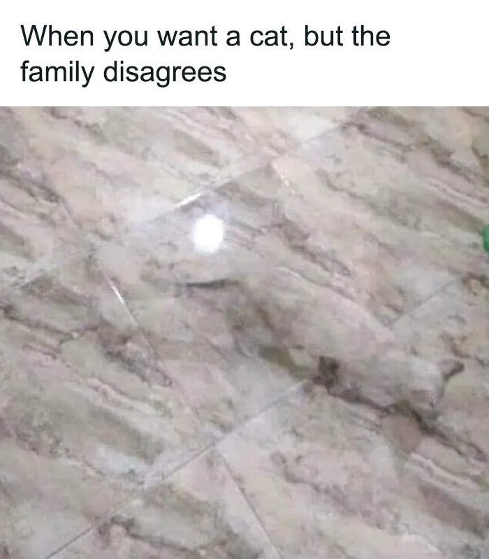 30 Funny Yet Uncomfortable Memes To Make You Laugh