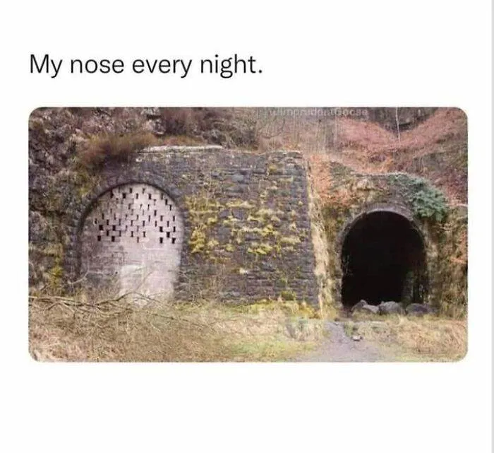 30 Random Funny Memes That Hit Too Close To Home