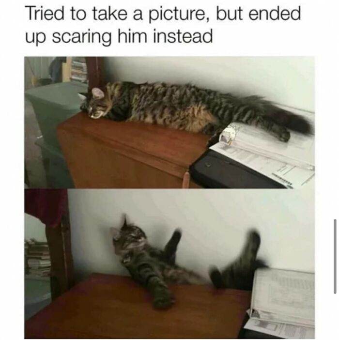 30 Funny Yet Uncomfortable Memes To Make You Laugh