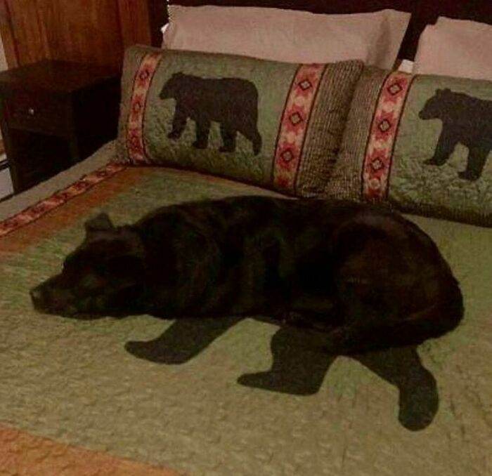 30 Adorable Times People Spotted Animals Being Cute