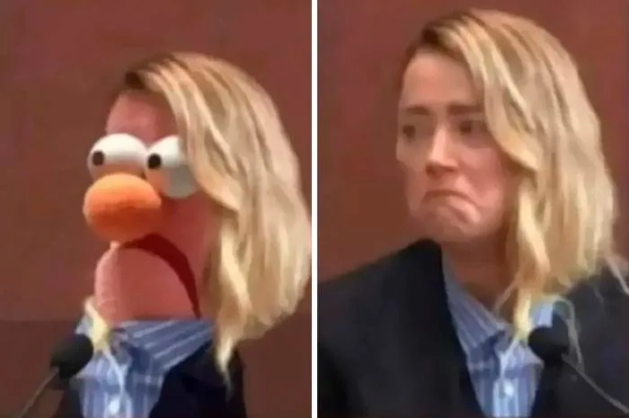 30 Funny Memes And Pictures That Are Hard To Believe