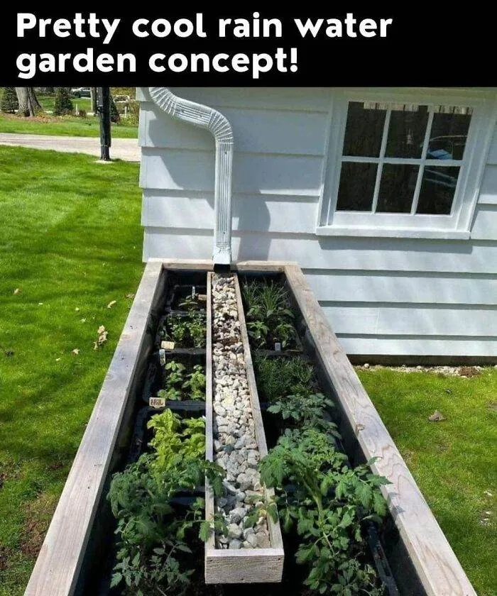 30 Crazy Products That WIll Make You Spend All Your Money