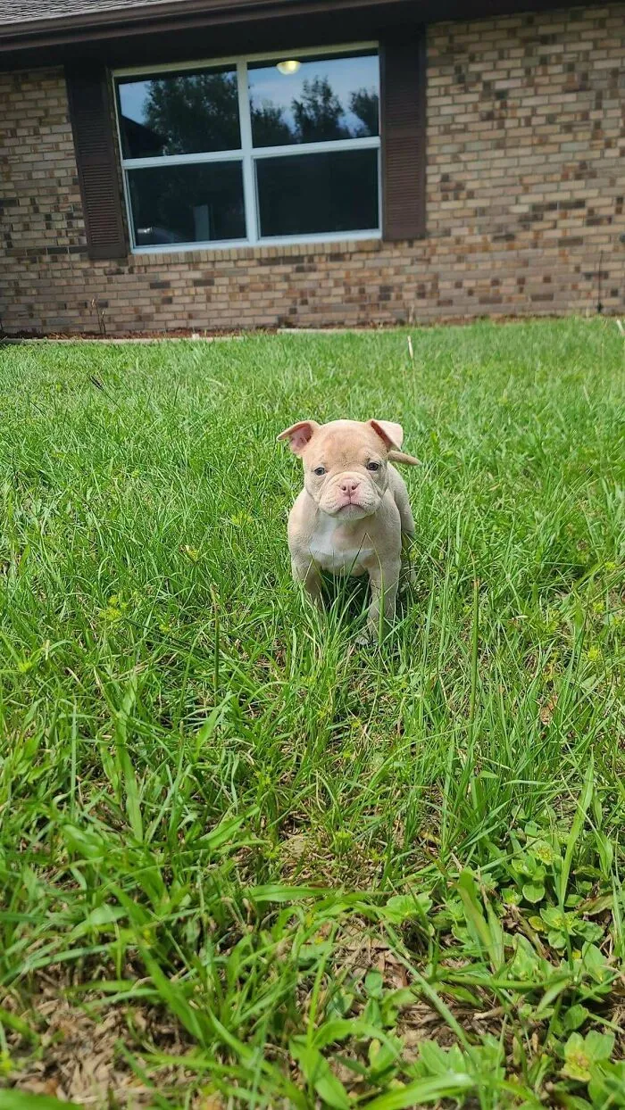 30 Uplifting Photos That Prove We Don’t Deserve Animals