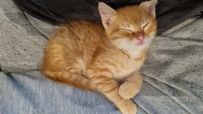 30 Uplifting Photos That Prove We Don’t Deserve Animals