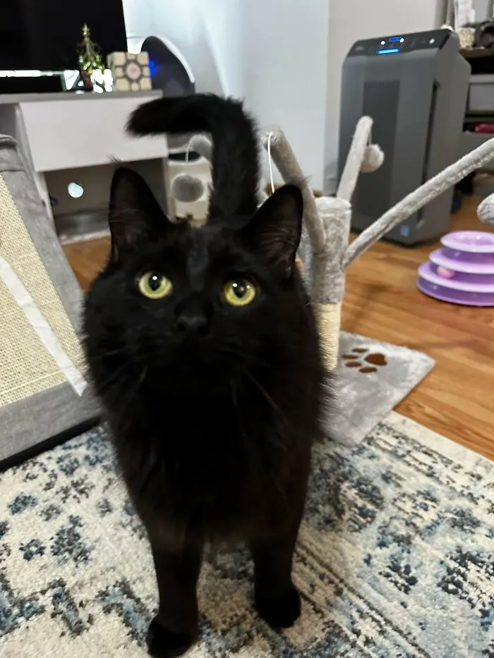 30 Uplifting Photos That Prove We Don’t Deserve Animals