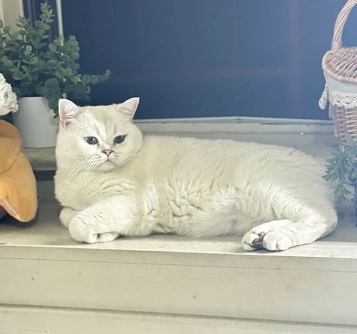 30 Uplifting Photos That Prove We Don’t Deserve Animals