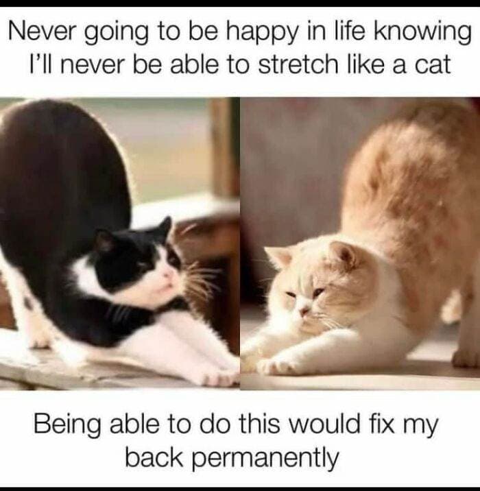 30 Hilariously Relatable Memes